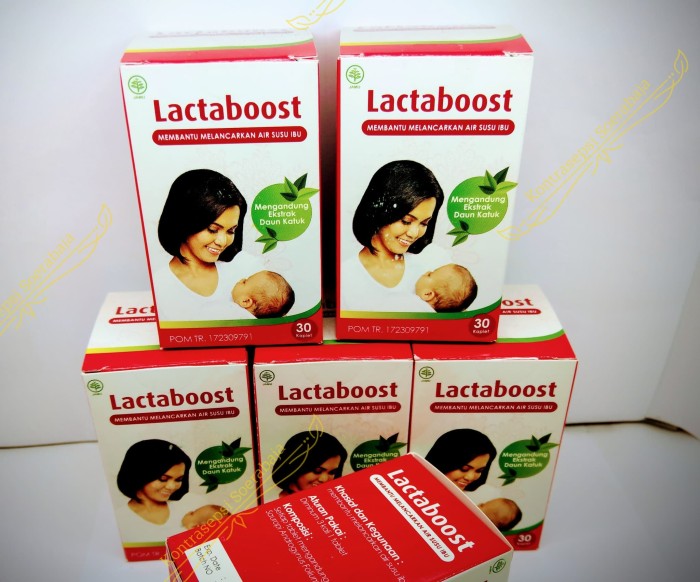 Jual LACTABOOST isi 30 kaplet meningkatkan produksi air susu ibu (ASI ...