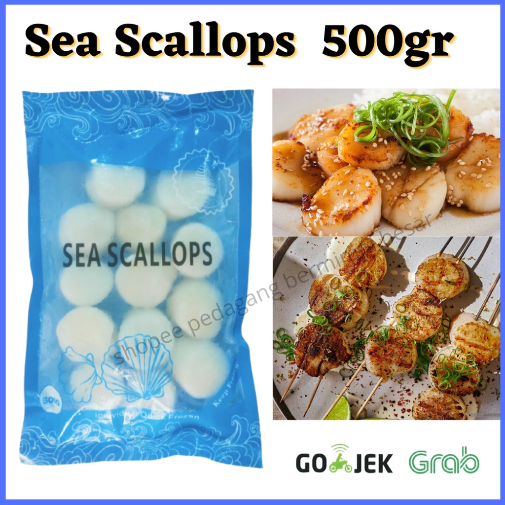 Jual Sea Scallops 500g/ Scallop/ Kerang Kampak | Shopee Indonesia
