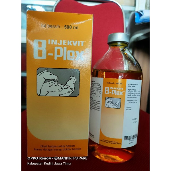 Jual INJEKVIT B PLEX 500ML MEDION (VITAMIN B COMPLEX) | Shopee Indonesia