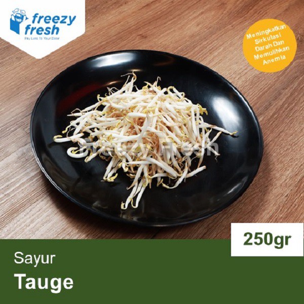 Jual Tauge (Per 1 Pak 250 gr) | Shopee Indonesia