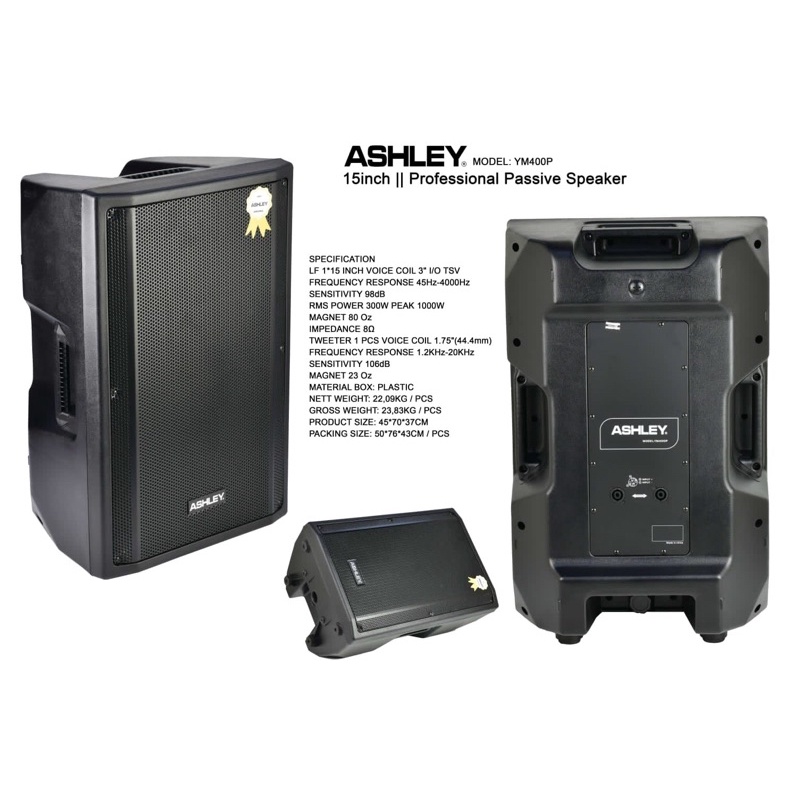 Jual Speaker pasif portable 15" ashley ym400p 300watt | Shopee Indonesia