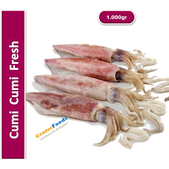 Jual Cumi Cumi Fresh | Size Sedang [ Harga Per KG ] | Shopee Indonesia