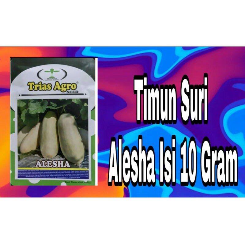 Jual Benih Timun Suri Putih ALESHA Isi 10 Gram (600 Biji) | Shopee ...