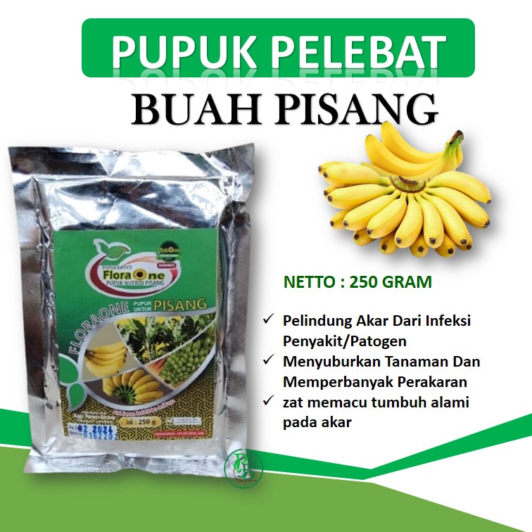 Jual Pupuk Hayati pisang varigata, Boster Pohon Buah pisang Tahan Penyakit tanaman | Shopee ...