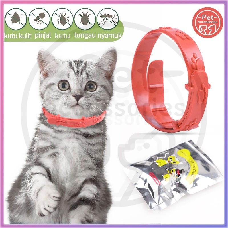 Jual kalung kucing anti kutu pinjal, kalung anjing anti kutu anti ulat ...