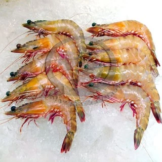 Jual Udang Per Kg Terlengkap & Harga Terbaru November 2024 | Shopee ...