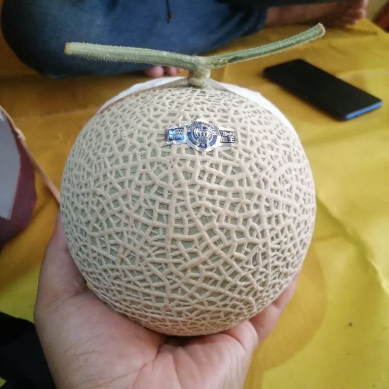 Jual Melon Musk Crown | Musk Emperor Shizuoka Japan Melon Jepang ...