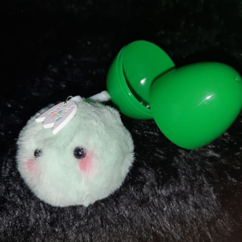 Jual MARIMONG SPAO Lee Sejin | Shopee Indonesia