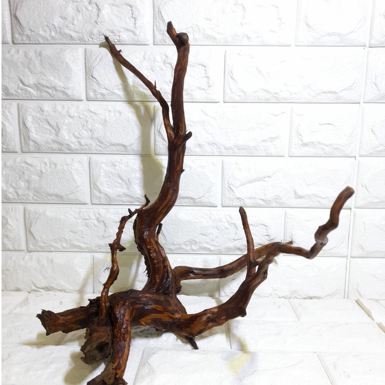 Jual AKAR RASAMALA KAYU RASAMALA AQUASCAPE SIZE L 40CM KAYU AKAR ...