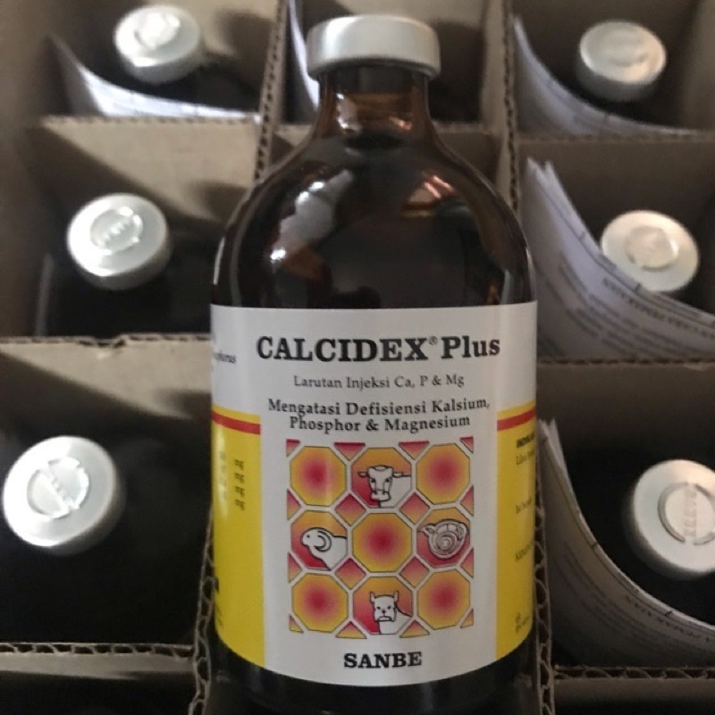 Jual CALCIDEX PLUS 100 ml Injeksi Obat Sapi Kambing Lumpuh Ampuh ...