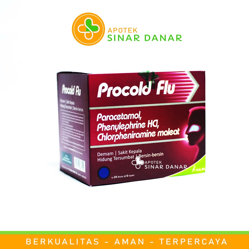 Jual PROCOLD FLU 1 BOX ISI 24 STRIP | Shopee Indonesia