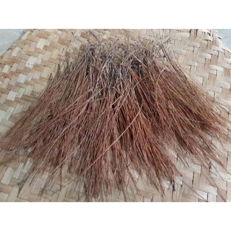 Jual Daun Pinus Kering / Hiasan Rustik | Shopee Indonesia