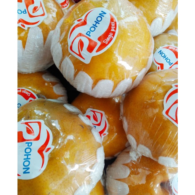 Jual pear singo/korea (1kg) | Shopee Indonesia