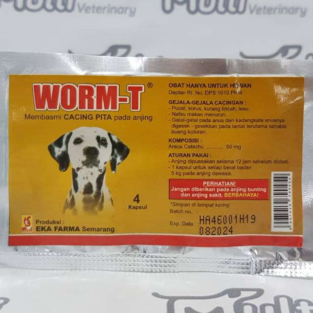 Jual WORM T Dog 4 kapsul Eka Farma Obat Cacing Pita Untuk Anjing ...