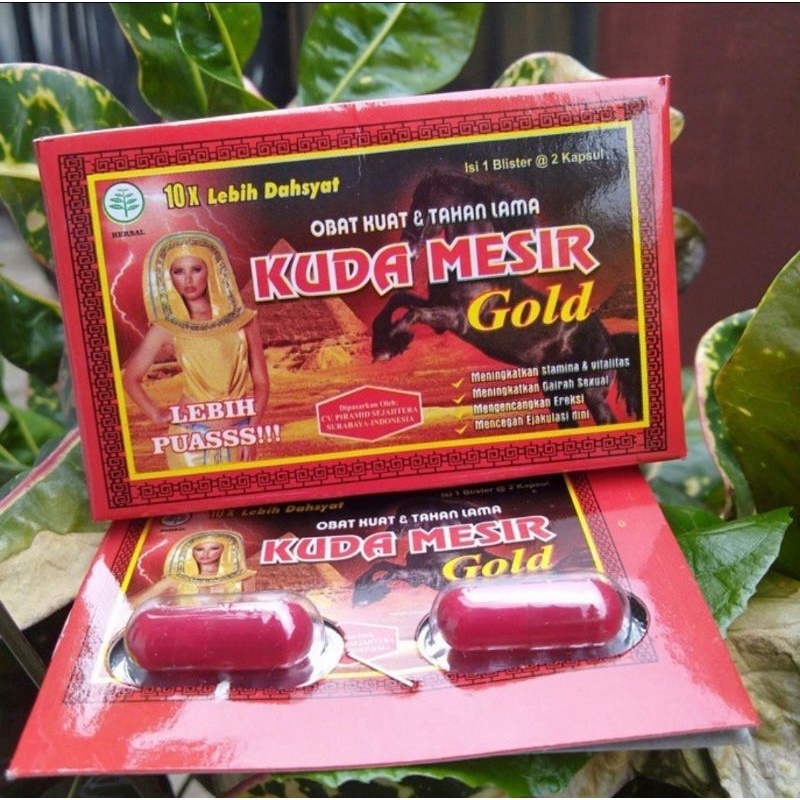 Jual Kapsul Kuda Mesir Original Harga Per Sahcet Obat Penambah Setamina Original | Shopee Indonesia