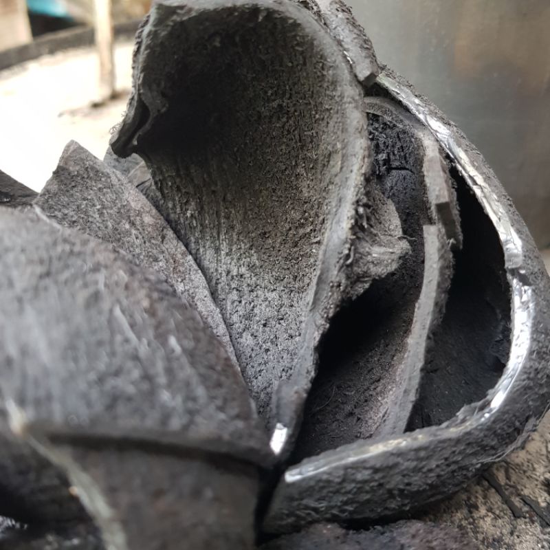 Jual Arang Kelapa mati hampa, ranah minang sumatera barat | Shopee ...