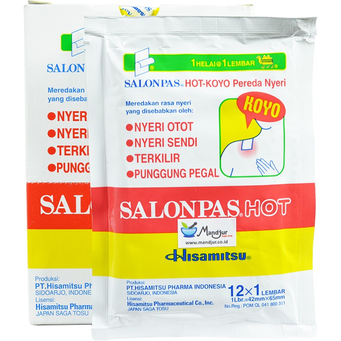Jual SALONPAS KOYO HOT MERAH KOYOK 1 SACHET 12x1 LEMBAR | PEREDA NYERI ...