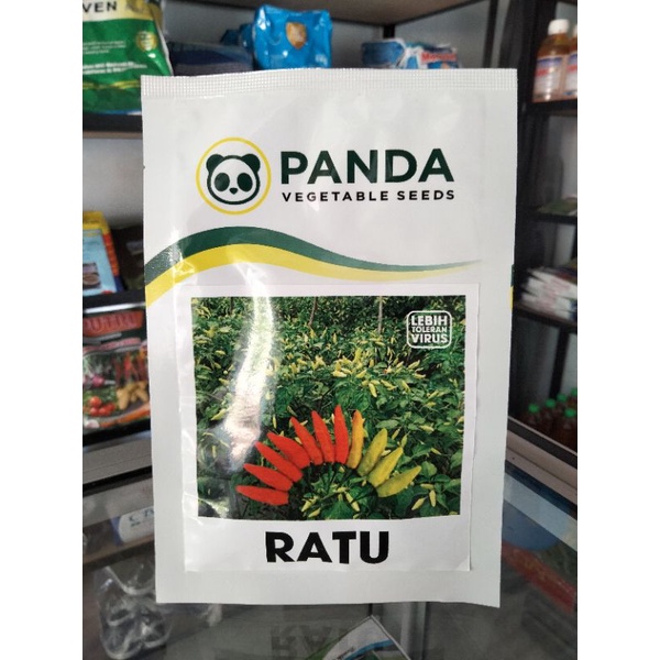 Jual Benih Cabe Rawit RATU PANDA VEGETABLE SEEDS | Shopee Indonesia