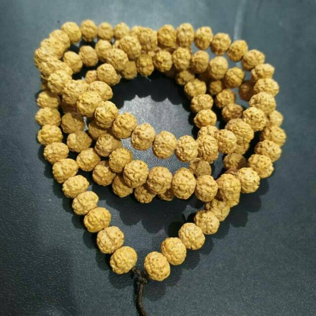 Jual KALUNG JENITRI RUDHAKSA / KALUNG BIJI JENITRI RUDHAKSA ASLI ...