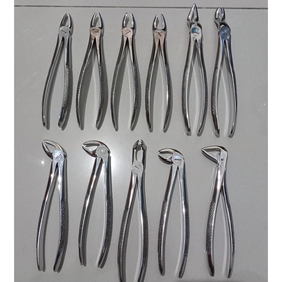 Jual ASDI Oliver Tang Exo Dewasa Kit isi 11 pcs | Tang Cabut Set | Tang ...