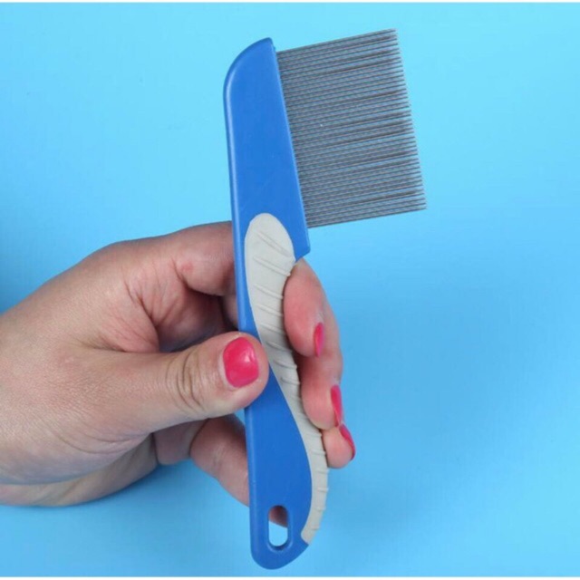 Jual SISIR KUTU SERIT KUTU SERIT BESI FN Store Kudus Murah | Shopee ...