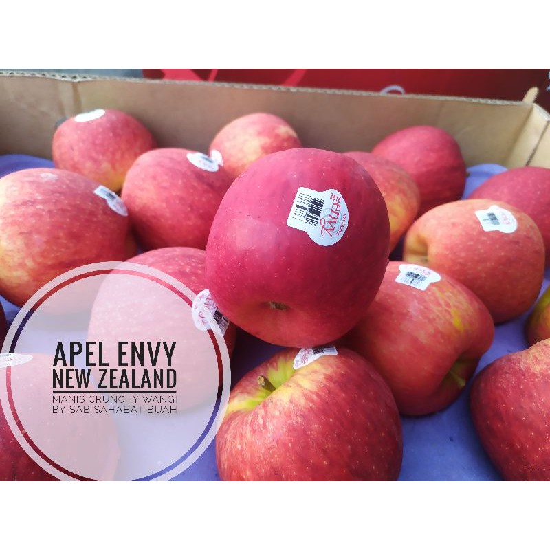 Jual Buah apel envy new zealand juaranya apel | Shopee Indonesia