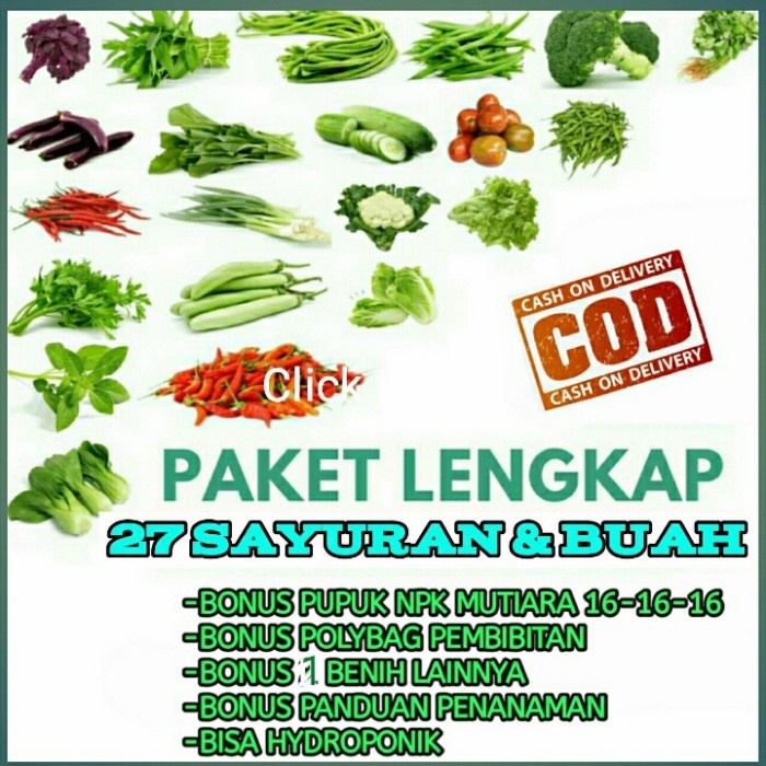 Jual Paket 27 jenis Bibit benih sayuran dan buah lengkap murah hydroponik | Shopee Indonesia