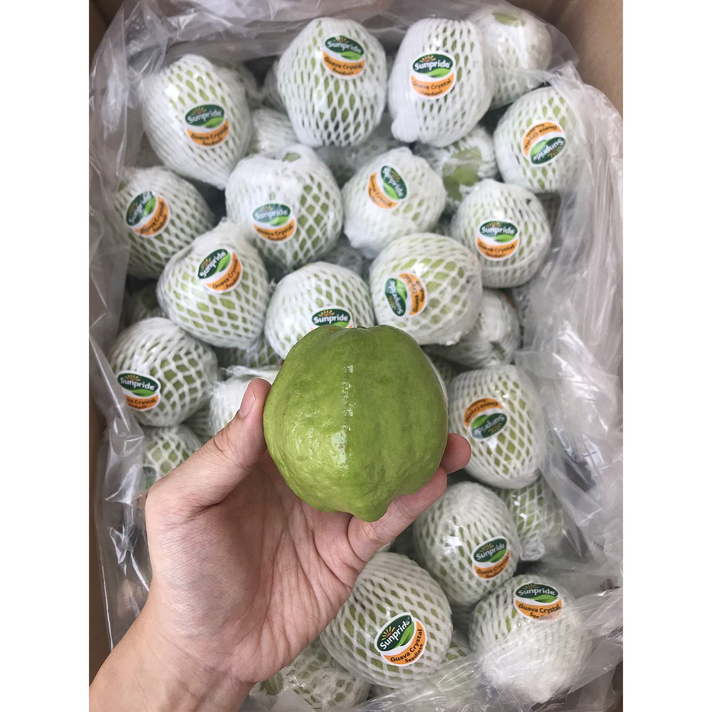 Jual JAMBU KRISTAL CRYSTAL 1KG [HARVEST LINE] | Shopee Indonesia