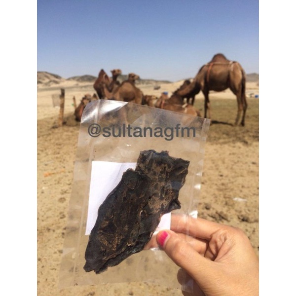 Jual Hati Unta Obat Asma 8 gram | Shopee Indonesia