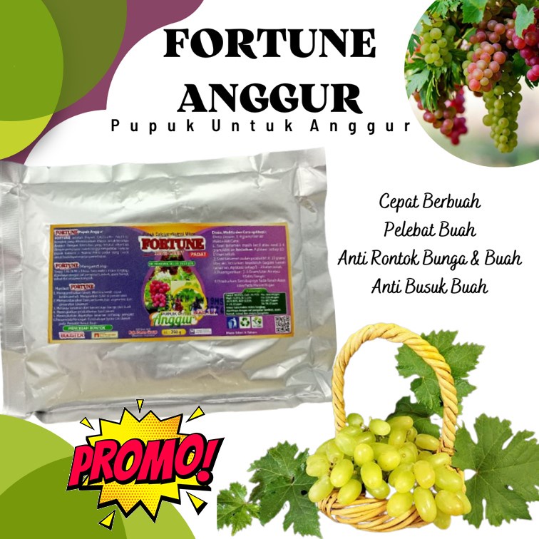 Jual Pupuk Anggur Agar Berbuah Lebat, Nutrisi Anggur Merah | Shopee Indonesia