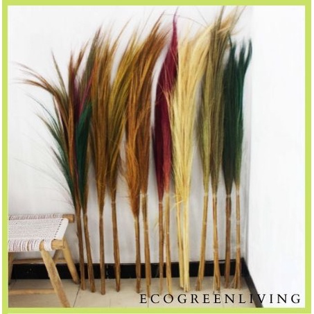 Jual Bunga Kering Rayung Ikat Isi 10 - 12 batang | Shopee Indonesia