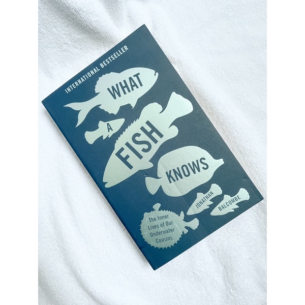 Jual Buku Import What a Fish Knows | Shopee Indonesia