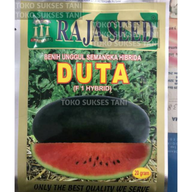 Jual Benih semangka DUTA F1 hibrida dari Raja Seed. kemasan 20gram ...