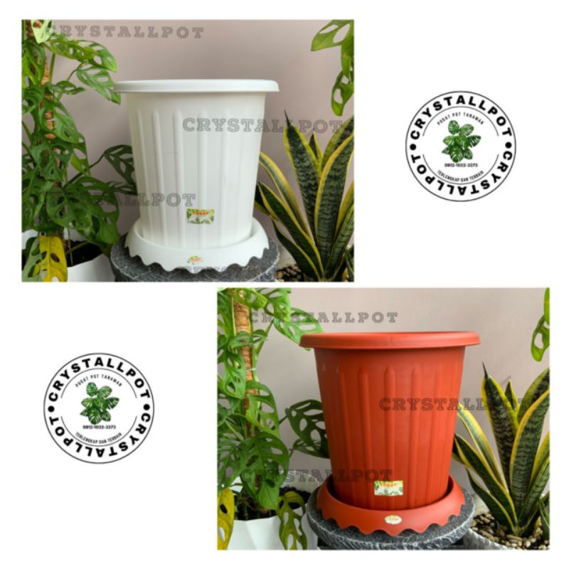 Jual pot bunga tanaman tinggi yogap YPT 30 bahan tebal + tatakan npt 30 ...