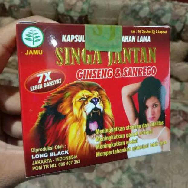Jual Singa jantan original (KODE H7296) | Shopee Indonesia