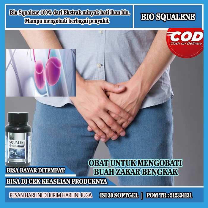 Jual Obat Buah Zakar Bengkak Obat Nyeri Testis Obat Varikokel Buah