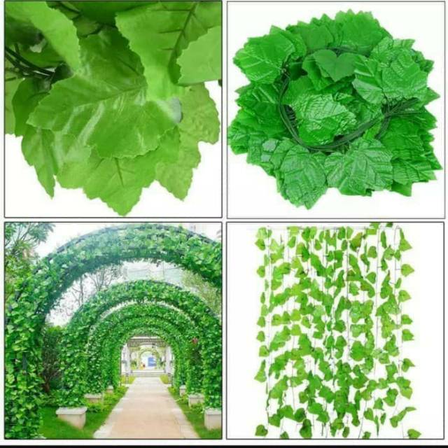 Jual Daun hias rambat daun sulur daun menjalar daun merambat dekorasi ...