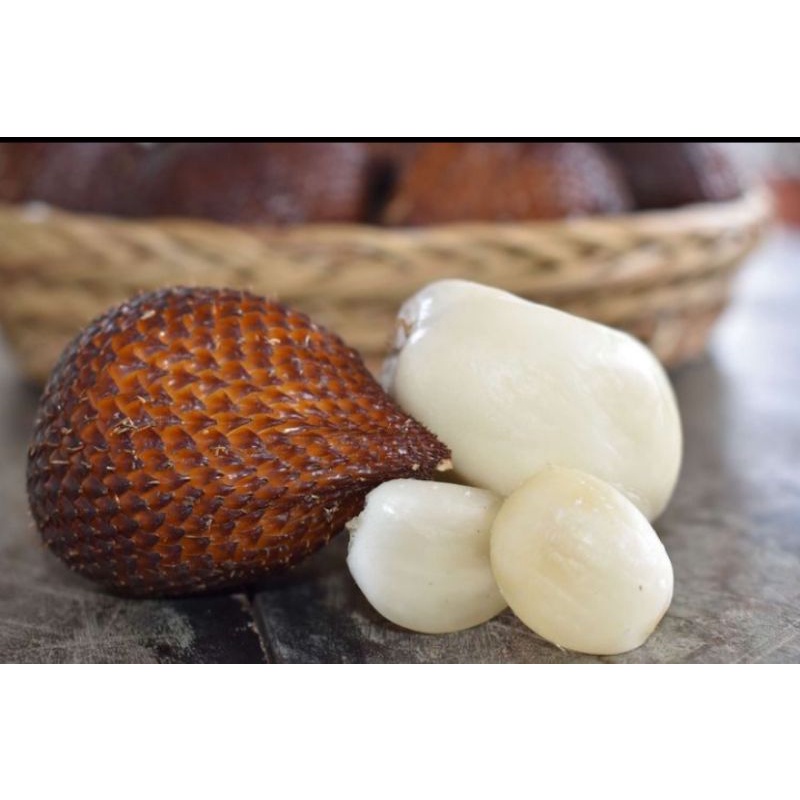 Jual SALAK GULA PASIR dan SALAK BALI (salak biasa) 1 kg | Shopee Indonesia