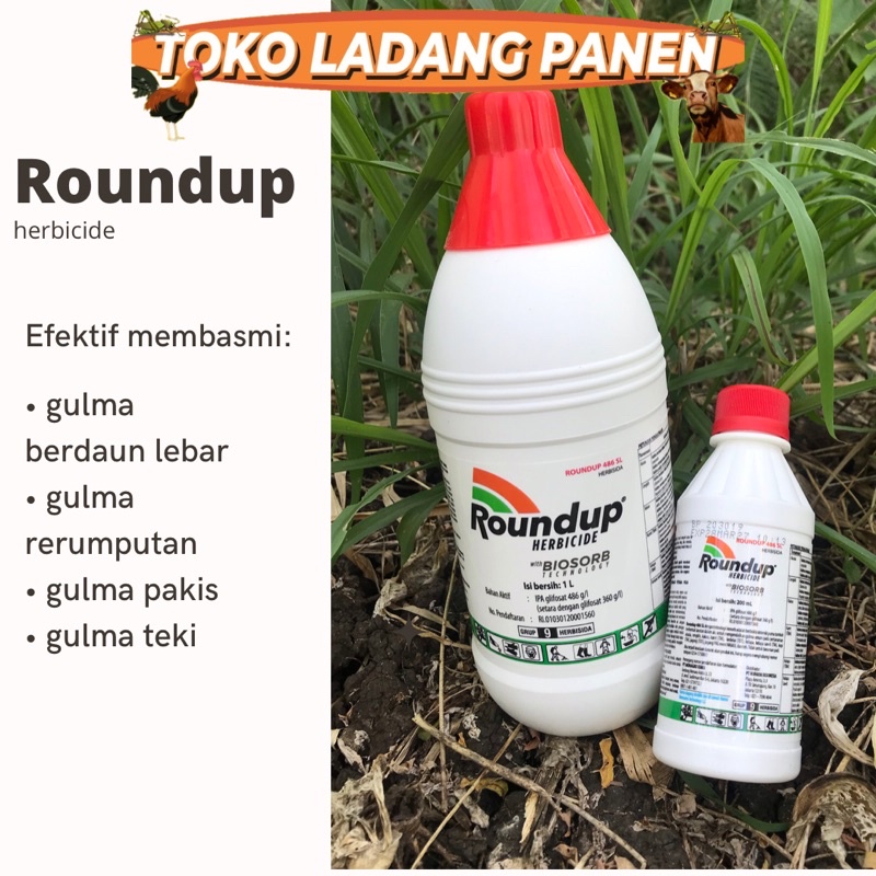 Jual ROUNDUP HERBISIDA | Shopee Indonesia
