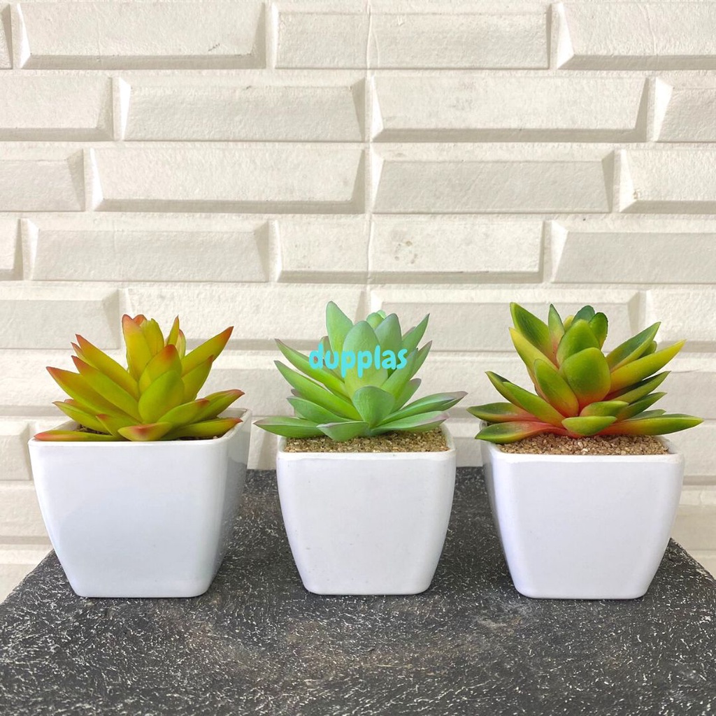Jual Tanaman Sukulen Kuncup Daun Latex Pot Melamine Tanaman Artificial ...