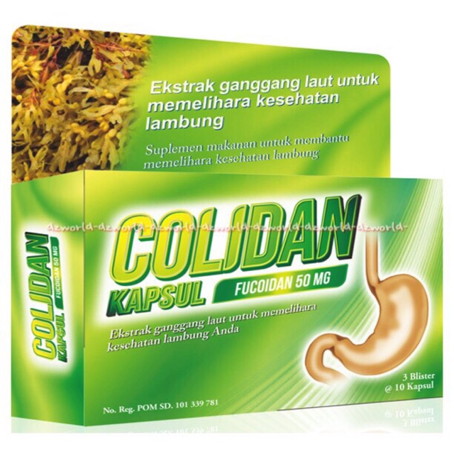 Jual Colidan Hijau Fucoidan 50mg Obat Mag Lambung Green Isi 30Kapsul ...