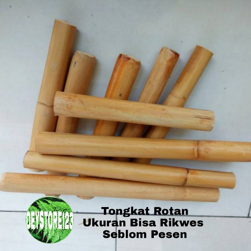 Jual Tongkat rotan Toya Baik untuk pemukul satpam | Shopee Indonesia