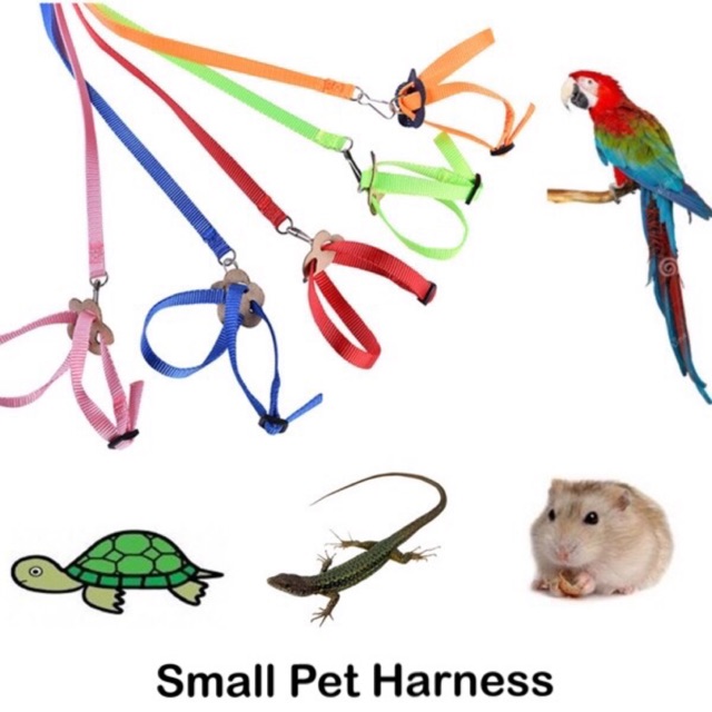 Jual HARNESS BURUNG HARNESS KURA-KURA HARNESS GECKO HARNESS HAMSTER ...
