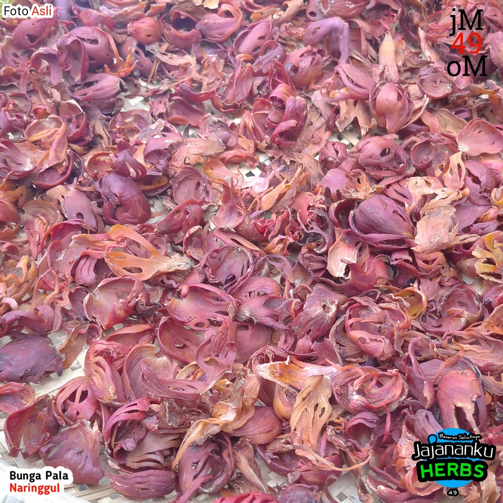Jual 100gr Bunga Pala Kering Sempra Puli Mace Whole Kembang Pala Fuli ...