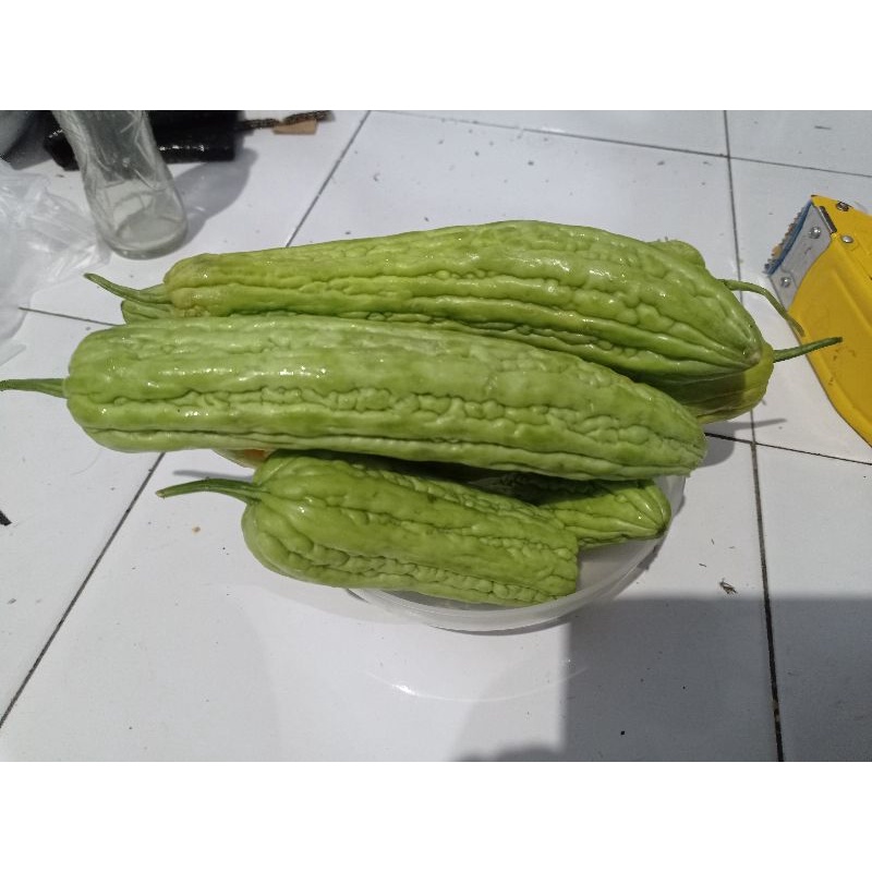 Jual [Sayur Segar Semarang] Kacang panjang, pare | Shopee Indonesia