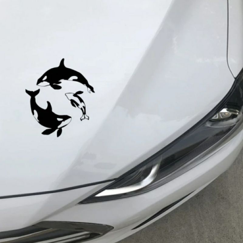 Jual Stiker Cutting Sticker Body Mobil - Ikan Paus | Shopee Indonesia