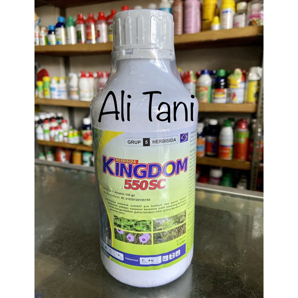 Jual KINGDOM 550 SC Kemasan 1 LTR Herbisida Sistemik/Racun Rumput ...