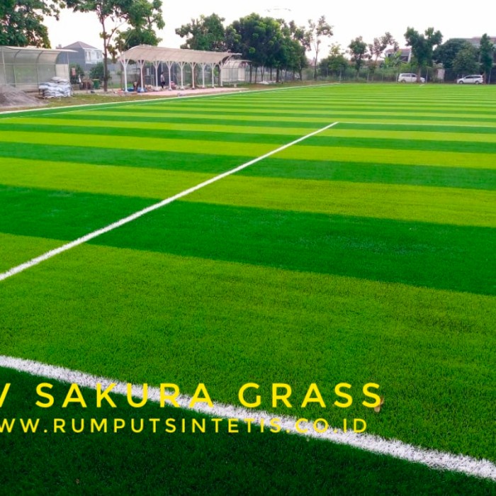 Jual RUMPUT SINTETIS LAPANGAN MINI SOCCER & FUTSAL TEBAL 3 CM BUAT ...