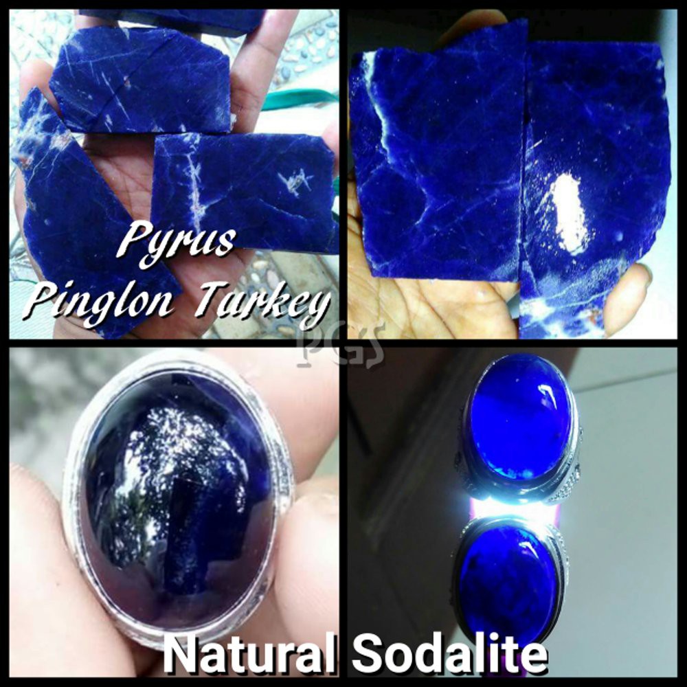 Jual MOST WANTED !!! PIRUS PINGLON TURKI HQ BIRU ( Bahan Lebih Besar ...