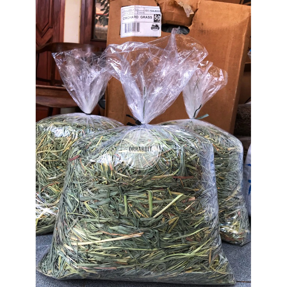 Jual Oxbow Orchard grass hay rumput pakan kelinci marmut 1 kg | Shopee ...